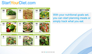 Overview of our Online Diet Program